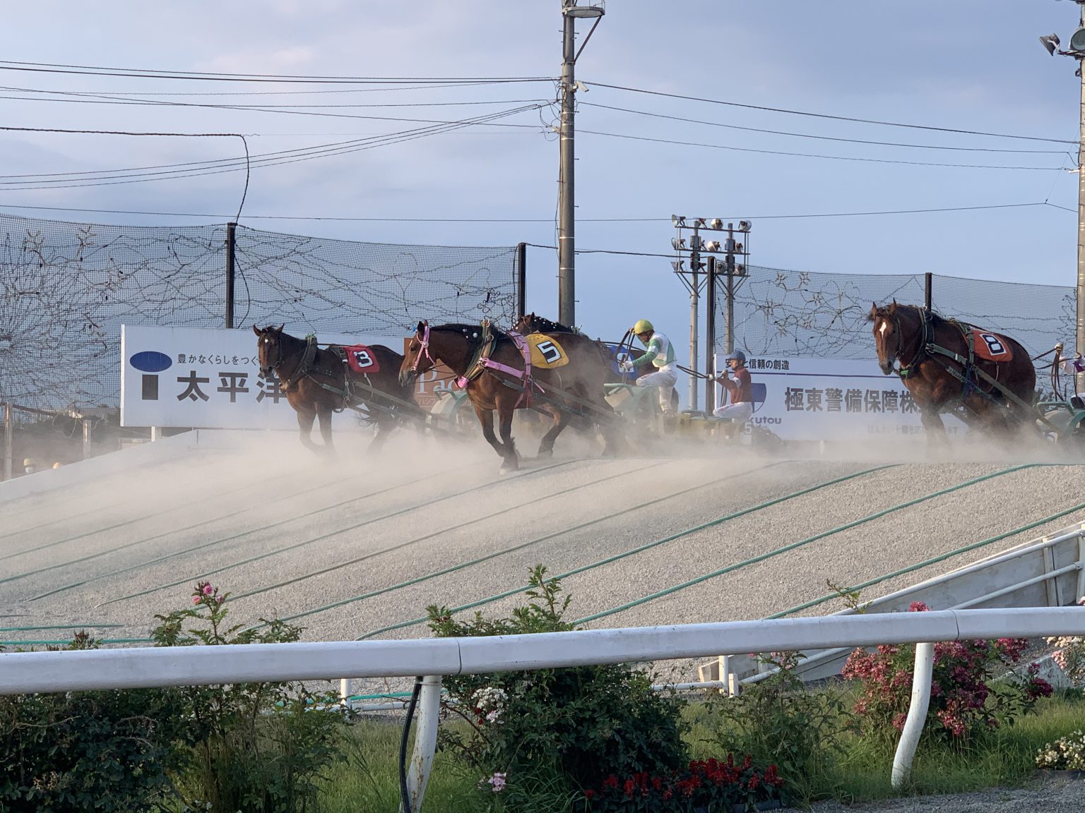 Obihiro Racecourse (Ban'ei Horse Racing) - ナショナル・スタジアム・ツアーズ