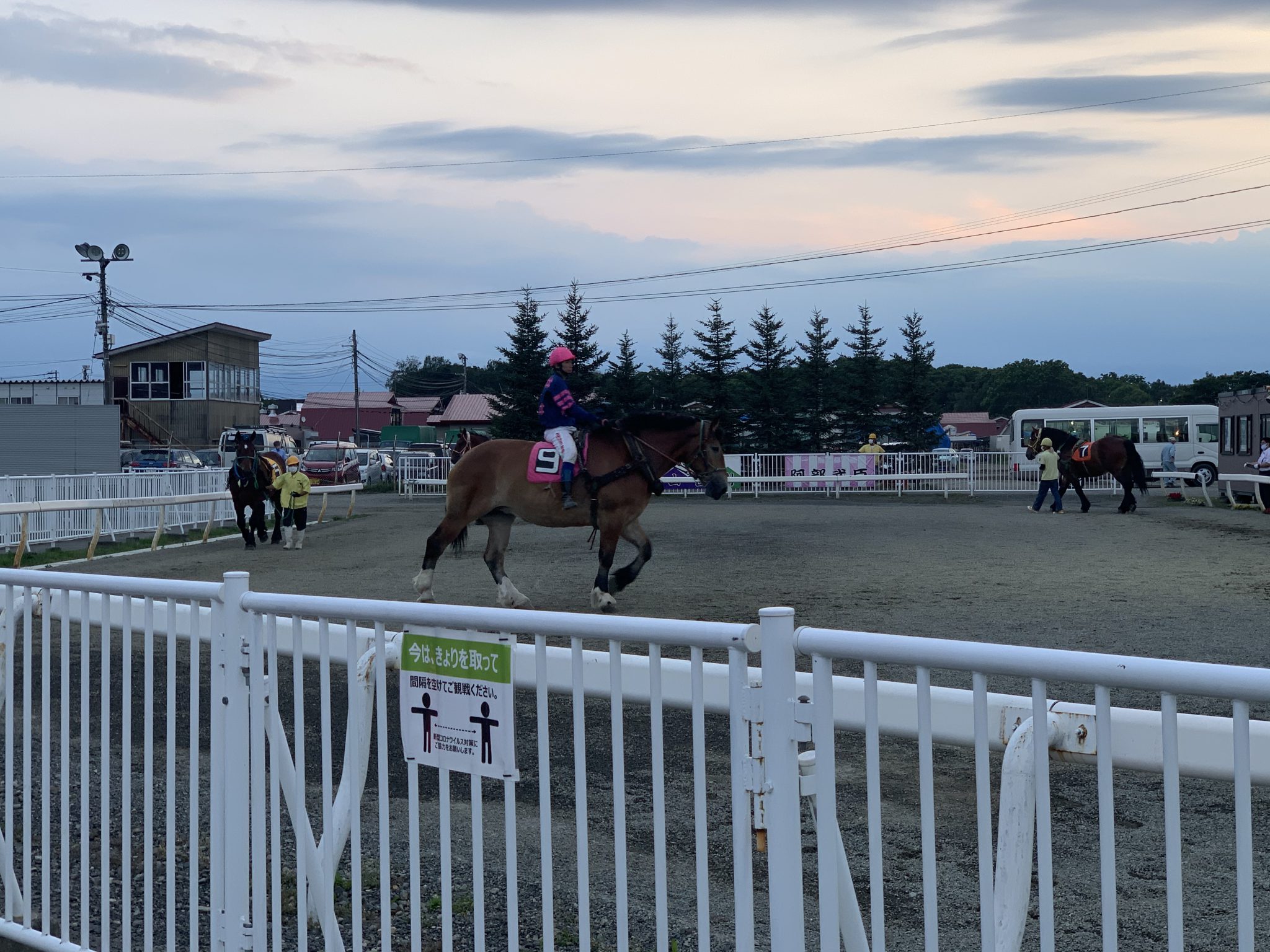 Obihiro Racecourse (Ban'ei Horse Racing) - ナショナル・スタジアム・ツアーズ