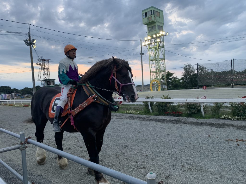 Obihiro Racecourse (Ban'ei Horse Racing) - ナショナル・スタジアム・ツアーズ